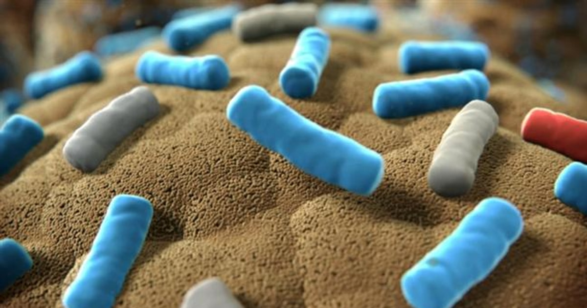 Những điều ít biết về hàm lượng chủng vi khuẩn trong men vi sinh