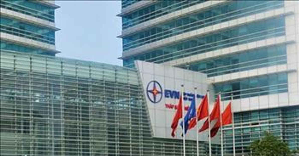 Sắp xếp, tổ chức lại các đơn vị hạch toán phụ thuộc EVN