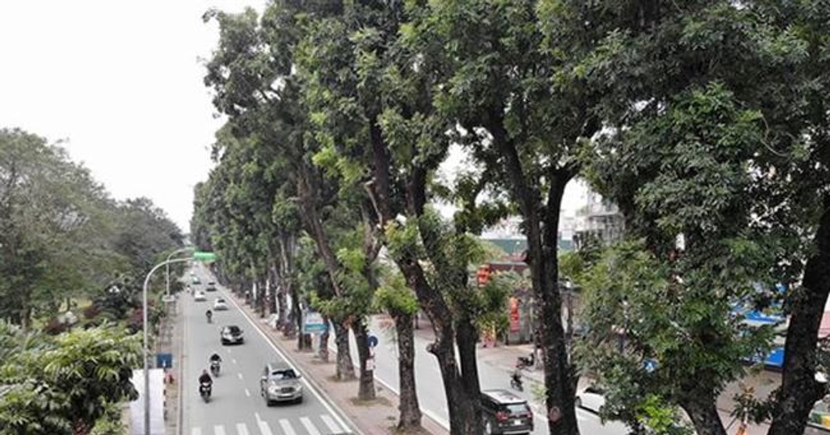Hà Nội sẽ mở rộng đường Láng trước Tết Nguyên đán 2019