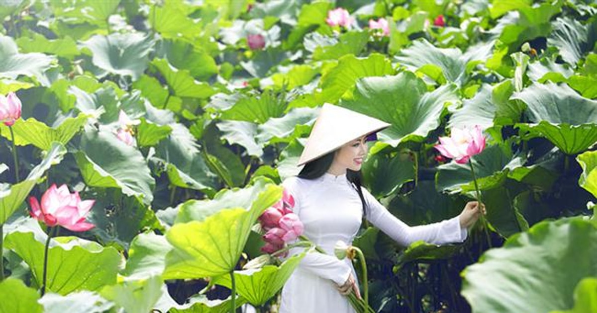 Chụp ảnh phản cảm với hoa sen: Hành động trái thuần phong mỹ tục