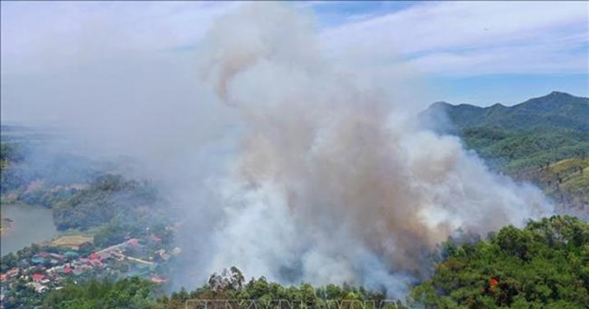 Khởi tố 3 đối tượng đốt tổ ong lấy mật gây cháy rừng ở Hà Tĩnh