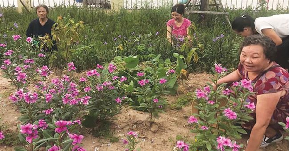 Cổ Loa - miền quê đáng sống