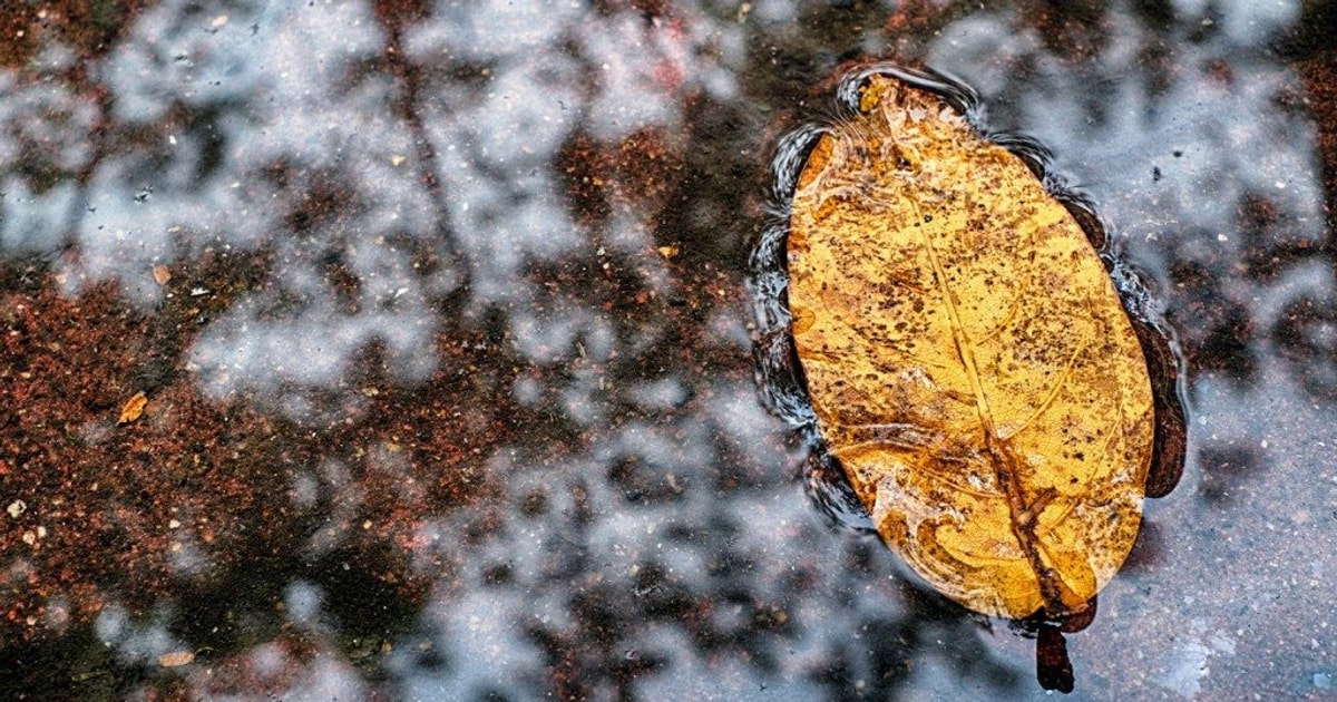 Mùa đông Hà Nội