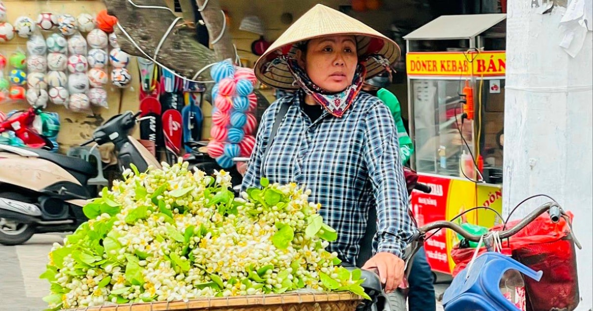 Hà Nội và những gánh hàng rong...