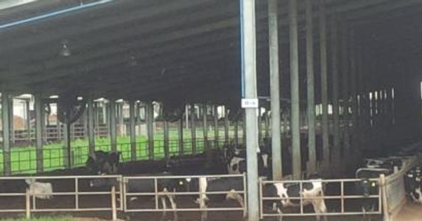 TH True milk gây ô nhiễm, dân mòn mỏi ngóng tiền hỗ trợ di dời và “lời ...